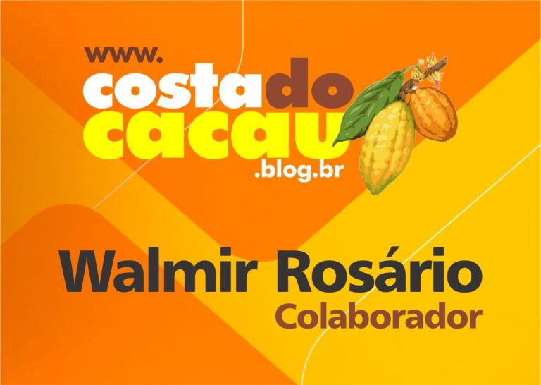 Relatório de Sustentabilidade 2024: Bracell apresenta result » Costa do ...